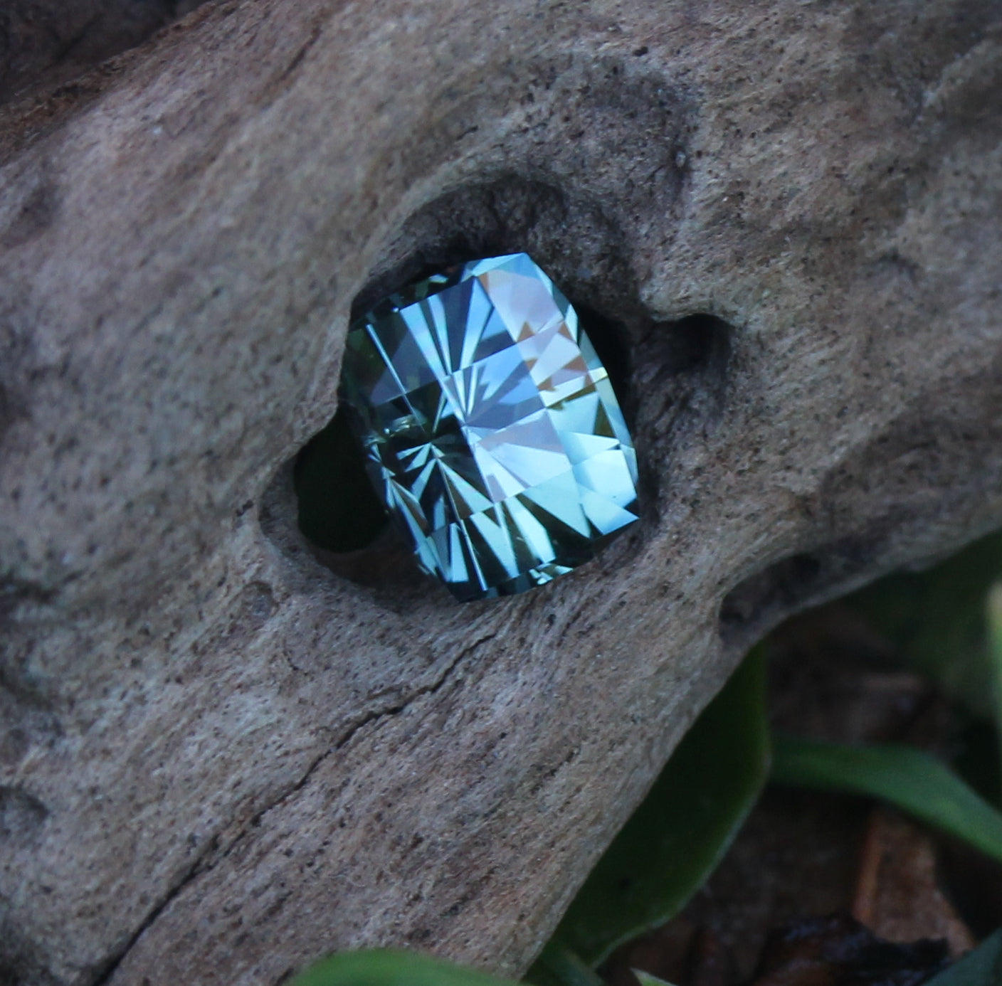 The Process – Des Gray